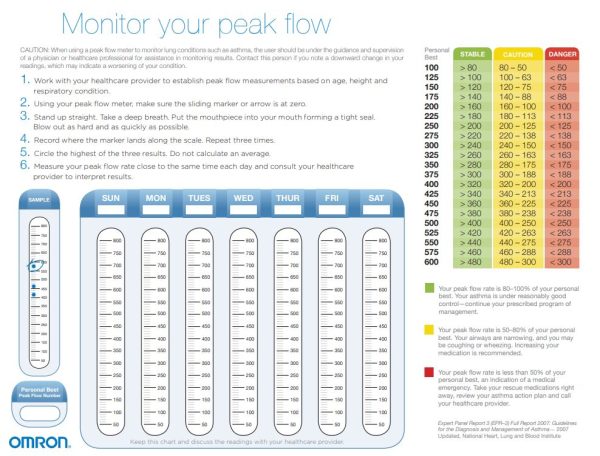 Omron Peak Flow Meter - Medicos Club